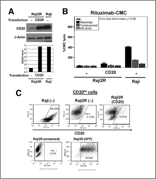 Regulation of CD20 in Rituximab-Resistant Cell Lines and B-cell Non ...
