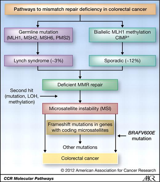 Molecular Pathways: Microsatellite Instability in Colorectal Cancer ...