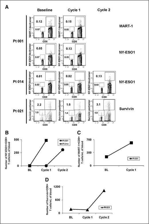 BRAF(V600) Inhibitor GSK2118436 Targeted Inhibition of Mutant BRAF in ...