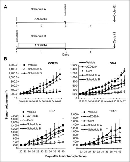 Sequence Dependence of MEK Inhibitor AZD6244 Combined with Gemcitabine ...