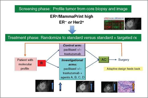 Developing Safety Criteria for Introducing New Agents into Neoadjuvant ...