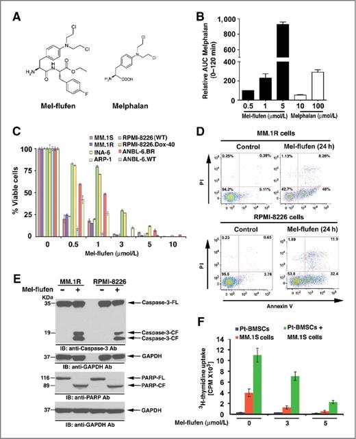 In Vitro and In Vivo Antitumor Activity of a Novel Alkylating Agent ...
