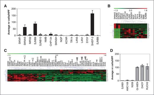 A NOTCH3 Transcriptional Module Induces Cell Motility in Neuroblastoma ...