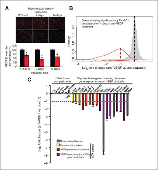 Identification and Analysis of In Vivo VEGF Downstream Markers Link ...