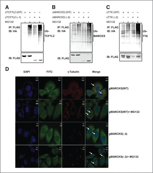 Identification and Selective Degradation of Neopeptide-Containing ...