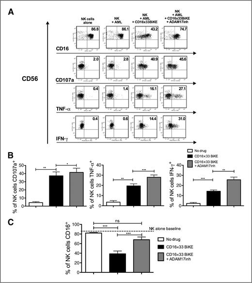 Targeting Natural Killer Cells to Acute Myeloid Leukemia In Vitro with ...