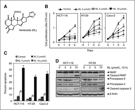 Nimbolide, a Limonoid Triterpene, Inhibits Growth of Human Colorectal ...
