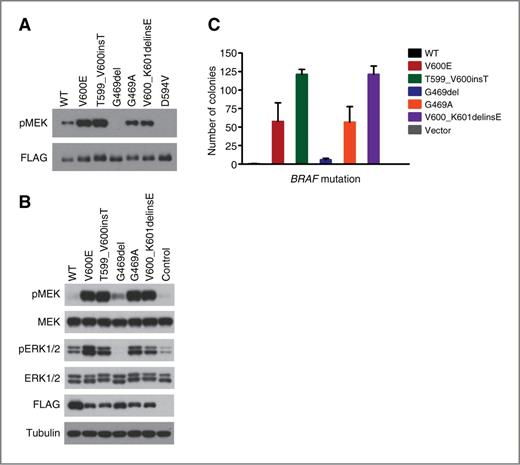 Clinical, Pathologic, and Biologic Features Associated with BRAF ...