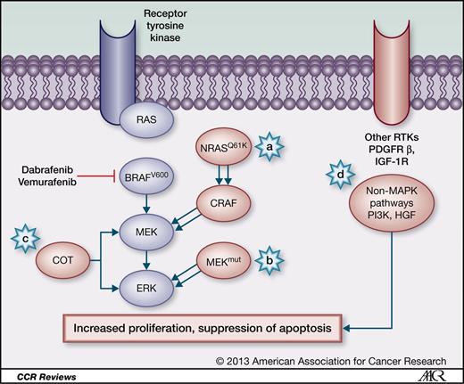 BRAF in Melanoma: Current Strategies and Future Directions | Clinical ...