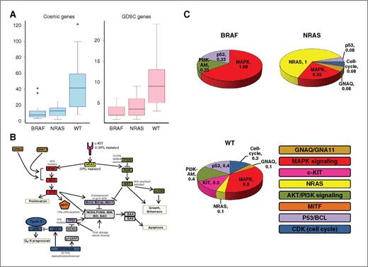 BRAF/NRAS Wild-Type Melanomas Have a High Mutation Load Correlating ...