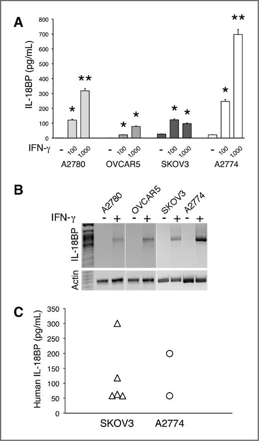 The IL-18 Antagonist IL-18–Binding Protein Is Produced in the Human ...