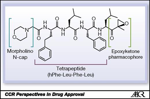 U.S. Food and Drug Administration Approval: Carfilzomib for the ...