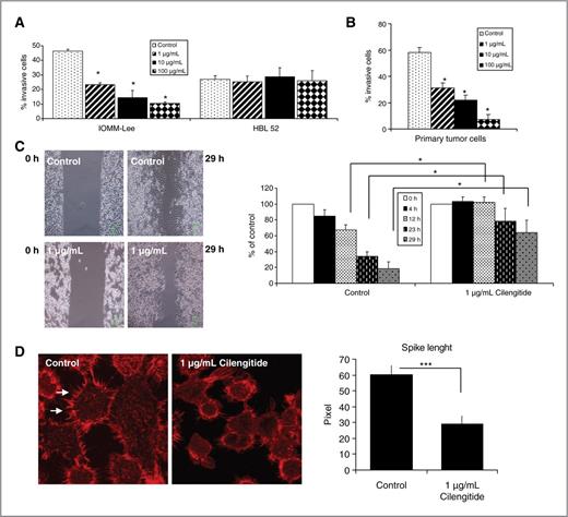 The Integrin Inhibitor Cilengitide Affects Meningioma Cell Motility and ...