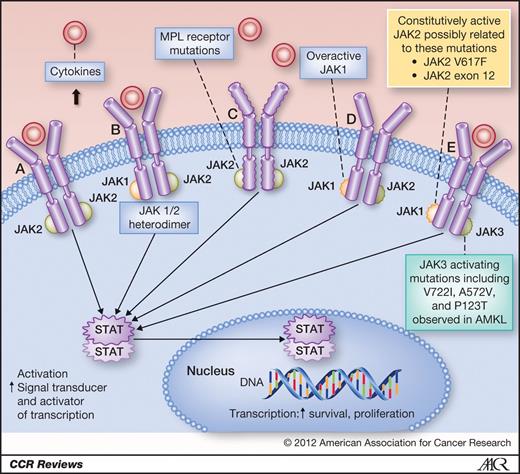 The Role of JAK Pathway Dysregulation in the Pathogenesis and Treatment ...