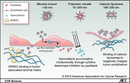 The Winning Formulation: The Development of Paclitaxel in Pancreatic ...