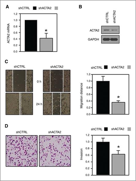 Alpha-Smooth Muscle Actin (ACTA2) Is Required for Metastatic Potential ...