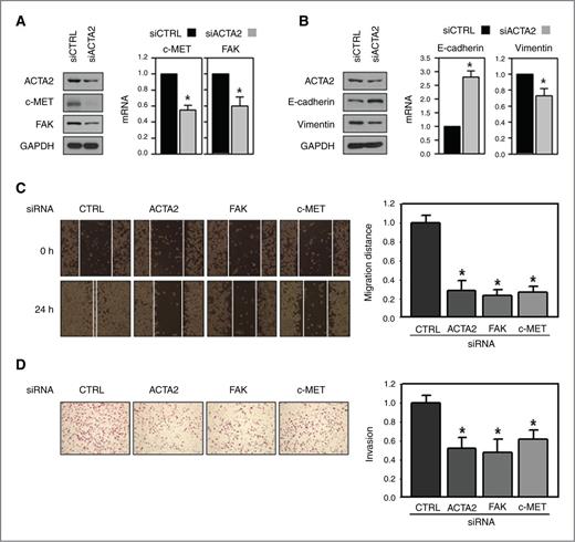 Alpha-Smooth Muscle Actin (ACTA2) Is Required for Metastatic Potential ...