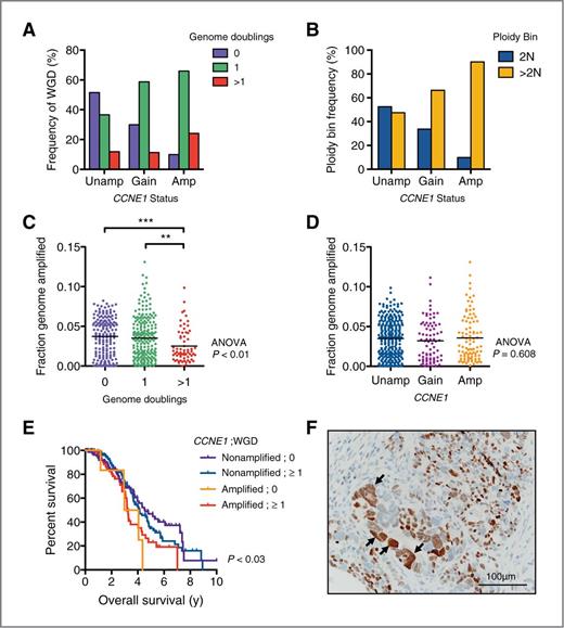 Resistance to CDK2 Inhibitors Is Associated with Selection of Polyploid ...