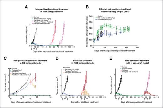 Nab-Paclitaxel Is an Active Drug in Preclinical Model of Pediatric ...