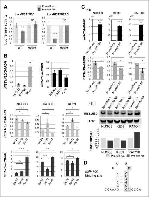 Contrasting Expression Patterns of Histone mRNA and microRNA 760 in ...