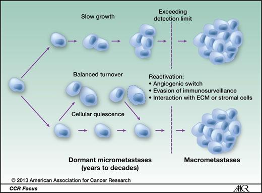 Metastasis Dormancy in Estrogen Receptor–Positive Breast Cancer ...