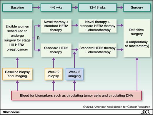 Neoadjuvant Therapy as a Platform for Drug Development and Approval in ...