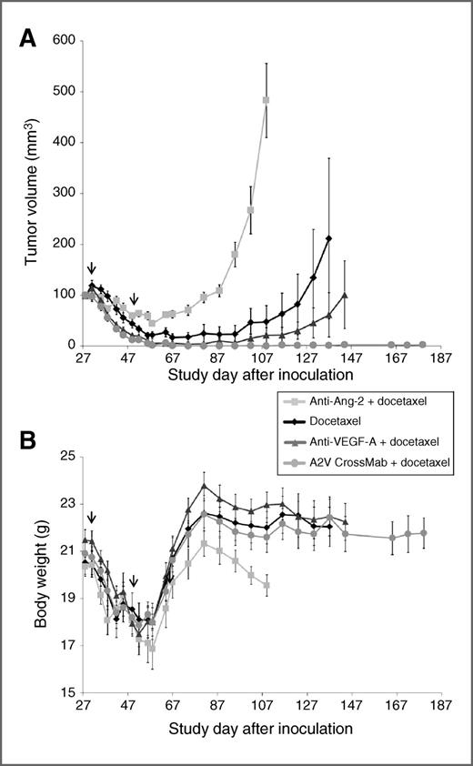 Ang-2-VEGF-A CrossMab, a Novel Bispecific Human IgG1 Antibody Blocking ...