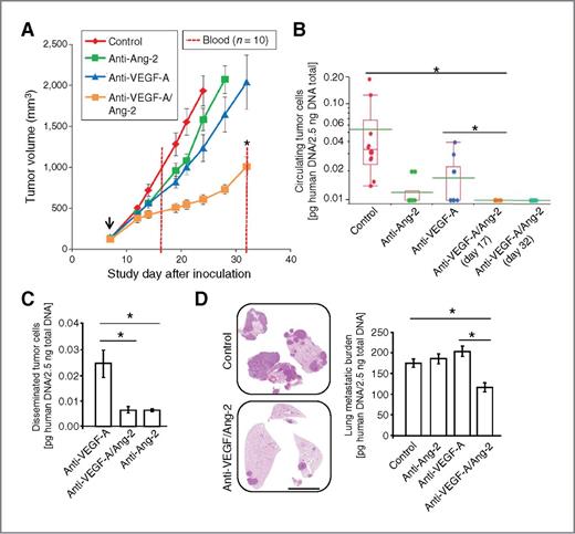 Ang-2-VEGF-A CrossMab, a Novel Bispecific Human IgG1 Antibody Blocking ...