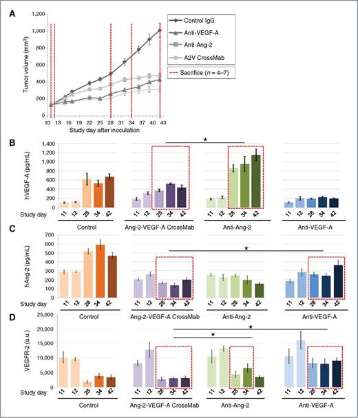 Ang-2-VEGF-A CrossMab, a Novel Bispecific Human IgG1 Antibody Blocking ...