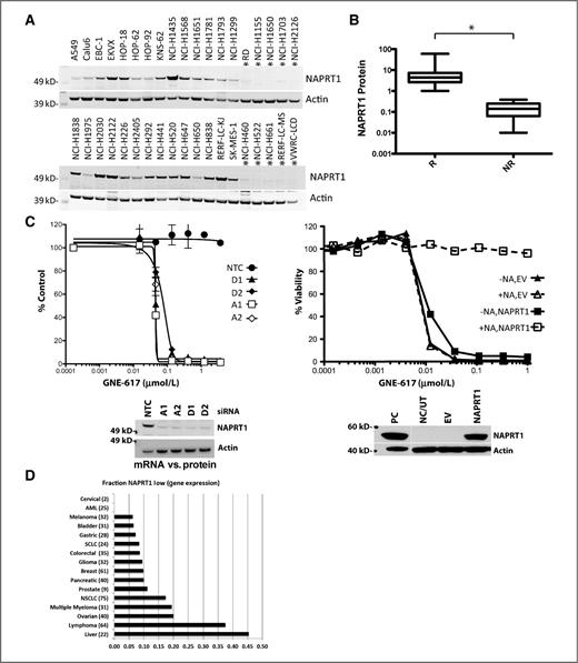 Loss of NAPRT1 Expression by Tumor-Specific Promoter Methylation ...