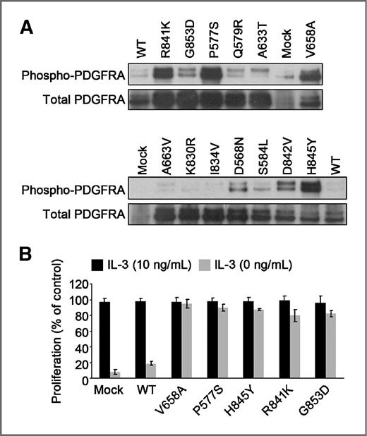 Large-scale Analysis of PDGFRA Mutations in Melanomas and Evaluation of ...