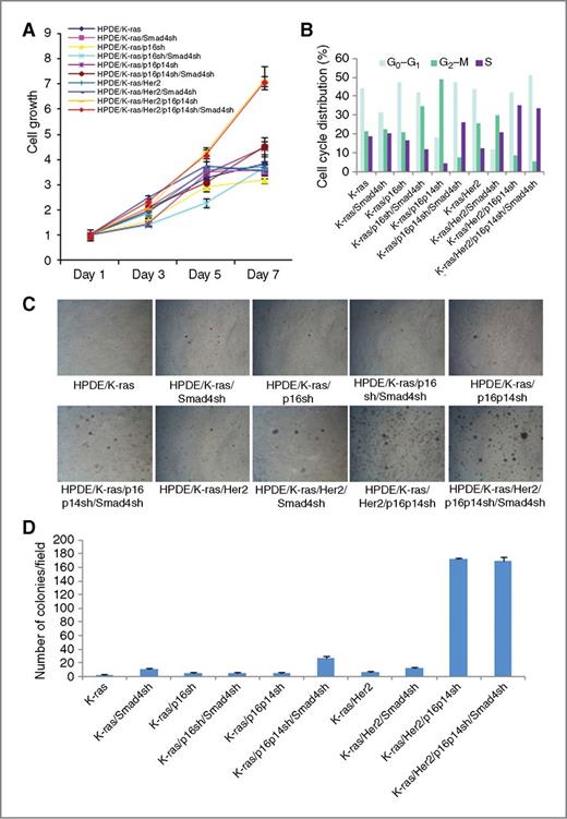 Deciphering the Mechanisms of Tumorigenesis in Human Pancreatic Ductal ...