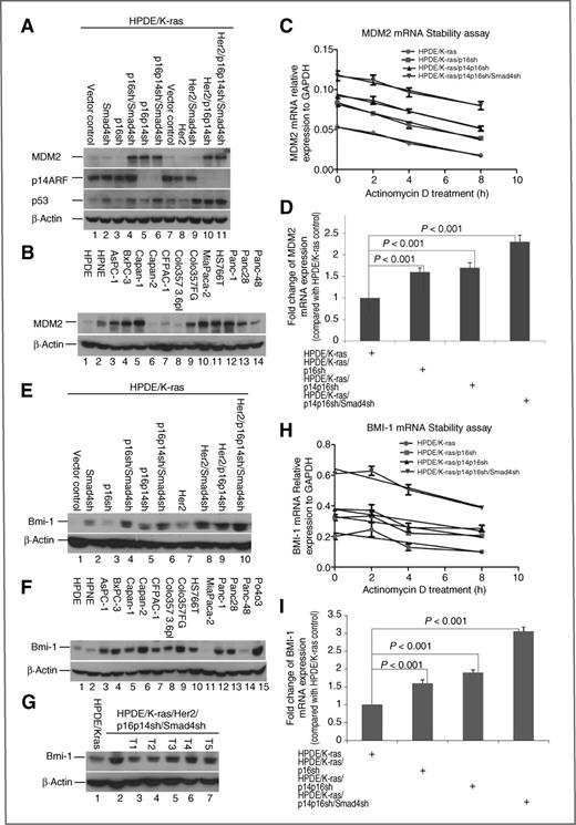 Deciphering the Mechanisms of Tumorigenesis in Human Pancreatic Ductal ...