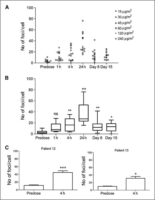 γ-H2AX Foci Formation as a Pharmacodynamic Marker of DNA Damage ...