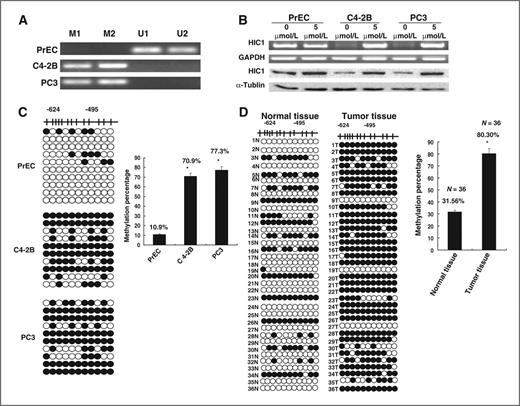 HIC1 Modulates Prostate Cancer Progression by Epigenetic Modification ...