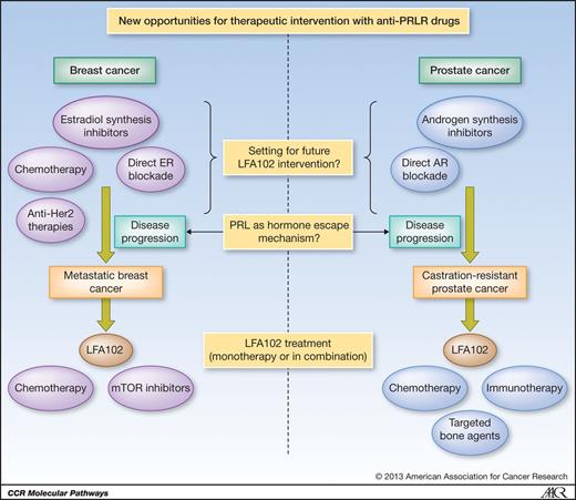 Molecular Pathways: Blockade of the PRLR Signaling Pathway as a Novel ...