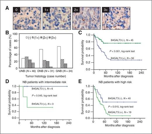 β-1,4-Galactosyltransferase III Enhances Invasive Phenotypes Via β1 ...