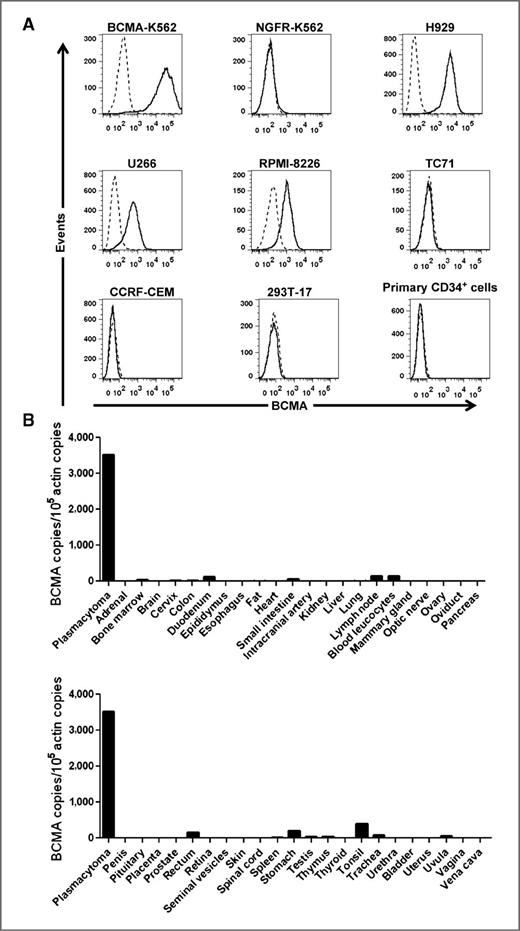 B-cell Maturation Antigen Is a Promising Target for Adoptive T-cell ...