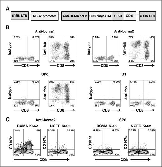 B-cell Maturation Antigen Is a Promising Target for Adoptive T-cell ...