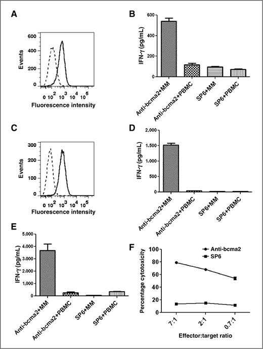 B-cell Maturation Antigen Is a Promising Target for Adoptive T-cell ...
