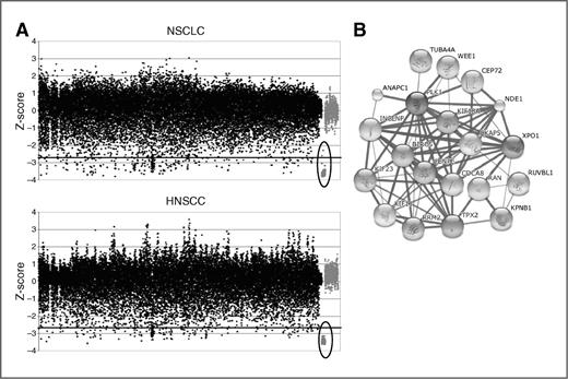 Functional Genetic Screens Identify Genes Essential for Tumor Cell ...