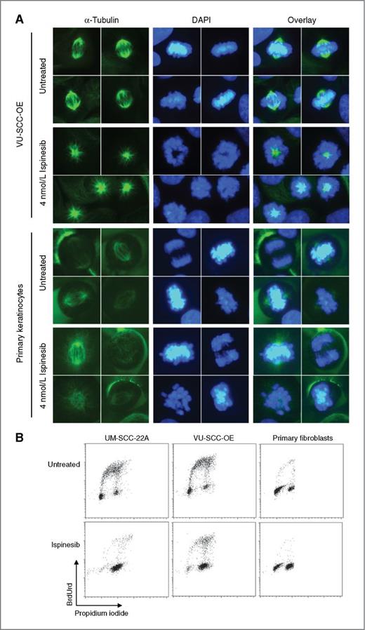 Functional Genetic Screens Identify Genes Essential for Tumor Cell ...