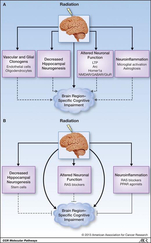 Molecular Pathways: Radiation-Induced Cognitive Impairment | Clinical ...