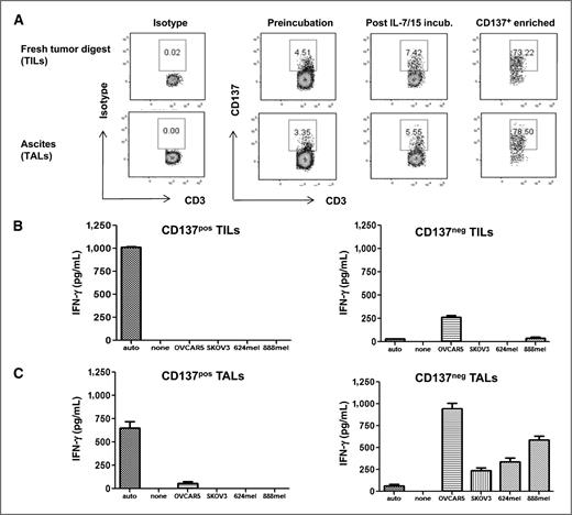 CD137 Accurately Identifies and Enriches for Naturally Occurring Tumor ...