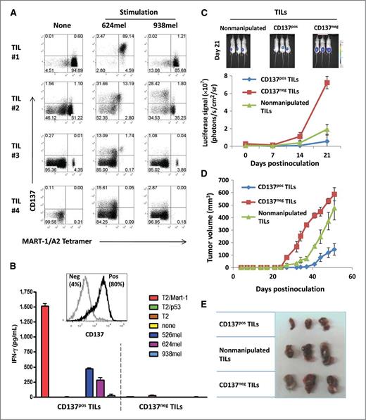 CD137 Accurately Identifies and Enriches for Naturally Occurring Tumor ...