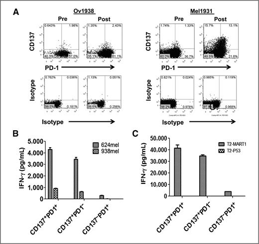 CD137 Accurately Identifies and Enriches for Naturally Occurring Tumor ...