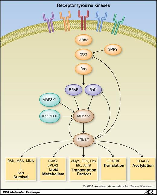 Molecular Pathways: Adaptive Kinome Reprogramming in Response to ...