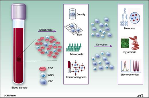 Circulating Tumor Cells: A Multifunctional Biomarker | Clinical Cancer ...