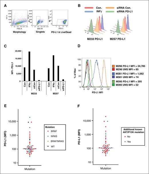 Effects of MAPK and PI3K Pathways on PD-L1 Expression in Melanoma ...