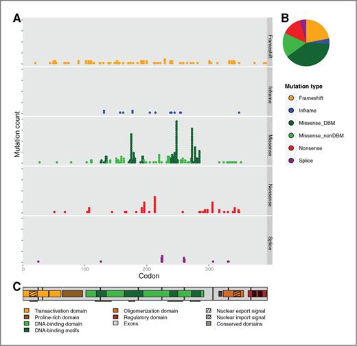 TP53 Mutation Spectrum in Breast Cancer Is Subtype Specific and Has ...